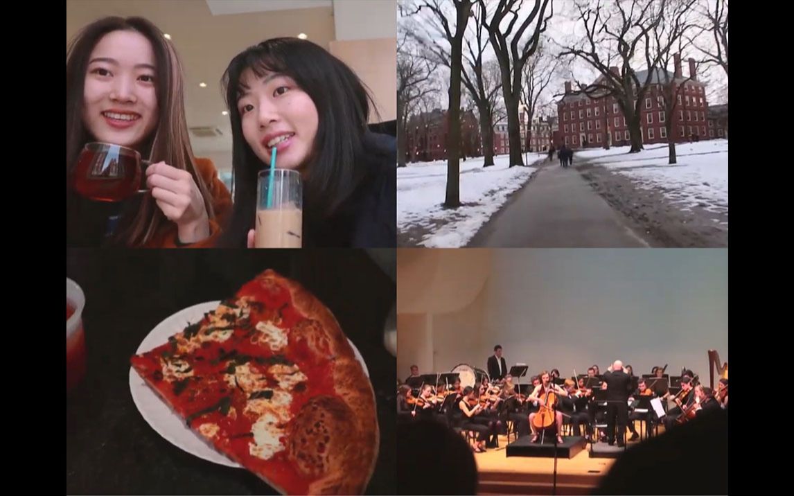 大学VLOG:音乐会|在哈佛参加会议|波士顿美食