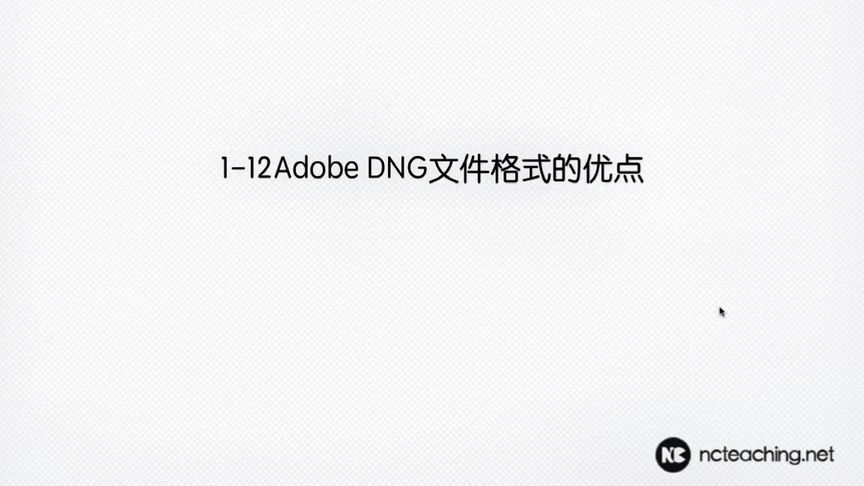 1-12adobe dng 文件格式优点