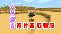 迷你世界:卡卡大师兄单人生存 第21集 人品爆发呀,两片西瓜也能驯服...