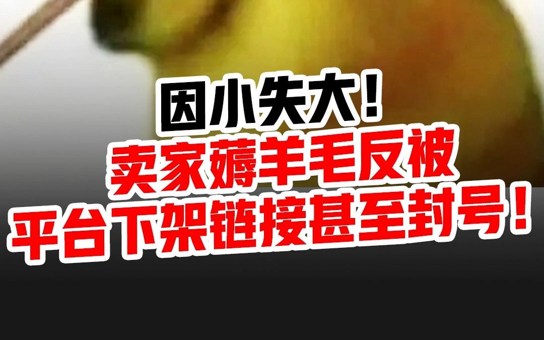 因小失大!卖家薅羊毛反被平台下架链接甚至封号!
