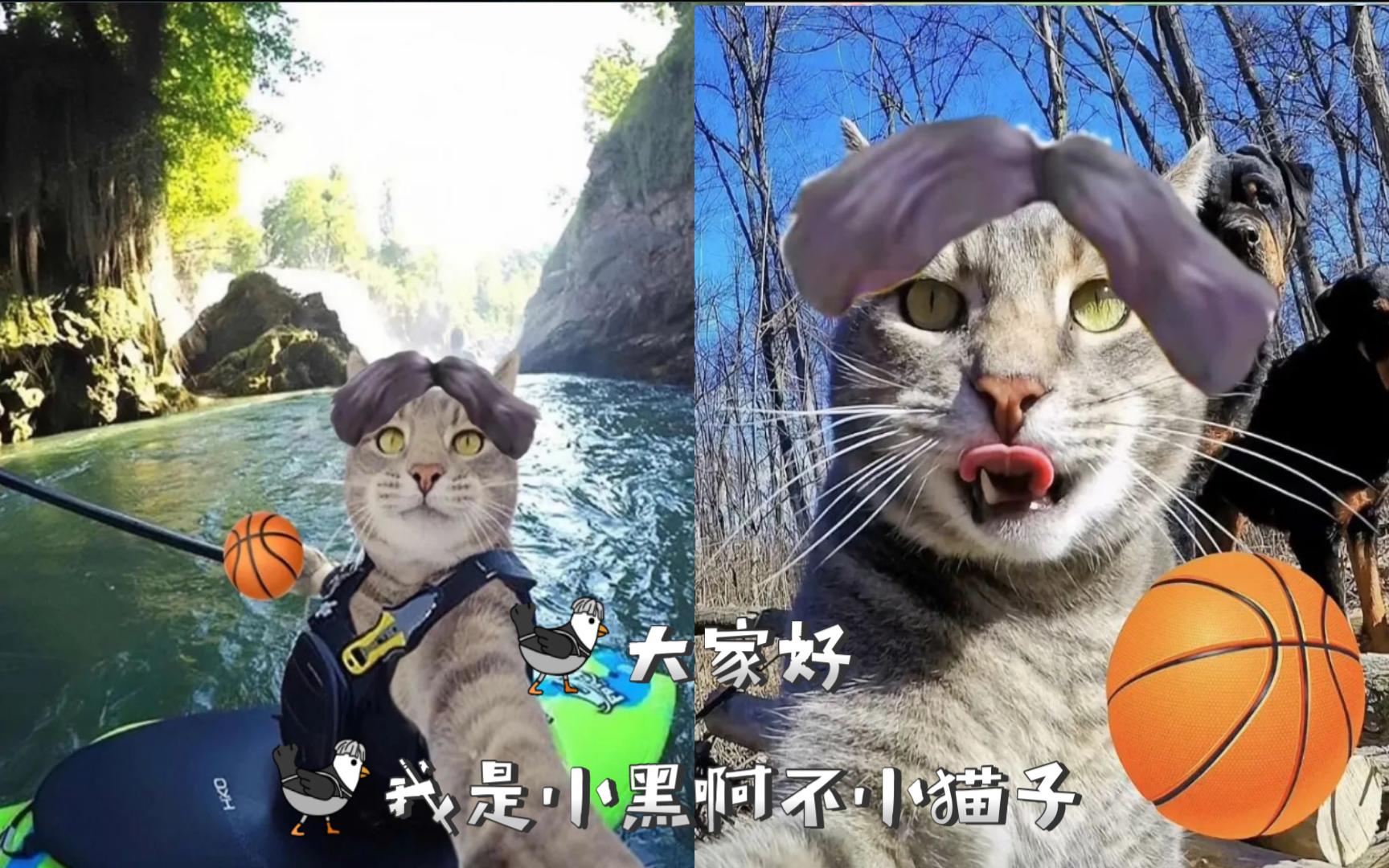 造梦无双——40w猴子不灭过大姐和大哥(云霄和赵公明)_网络游戏热门...