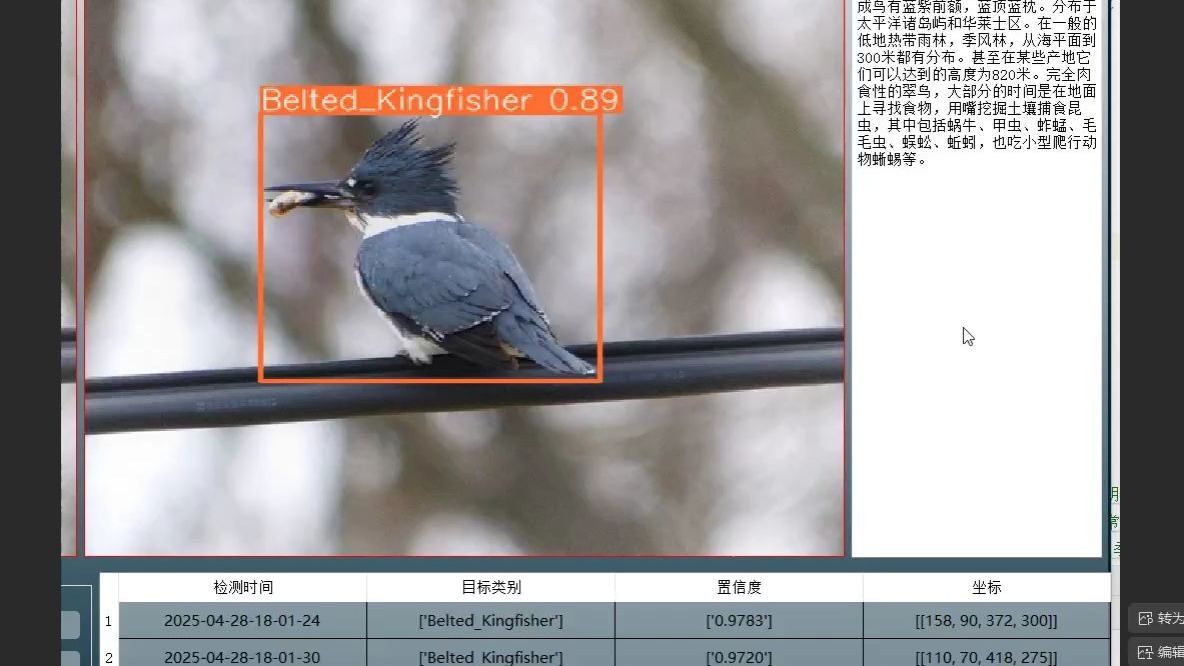 人工智能-基于YOLOv8鸟类识别保护系统的设计与实现