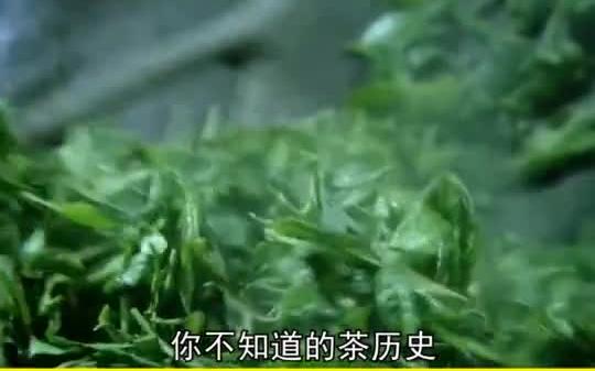 传播茶文化带你走进茶世界!