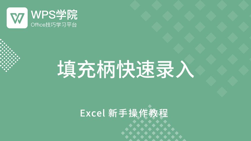 (5)填充柄快速录入