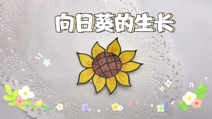 儿童亲子美术《向日葵的成长》用绘画了解植物的生长过程,太有趣