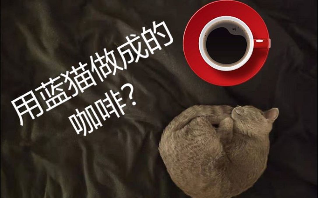【猫咪】蓝猫咖啡什么味?!
