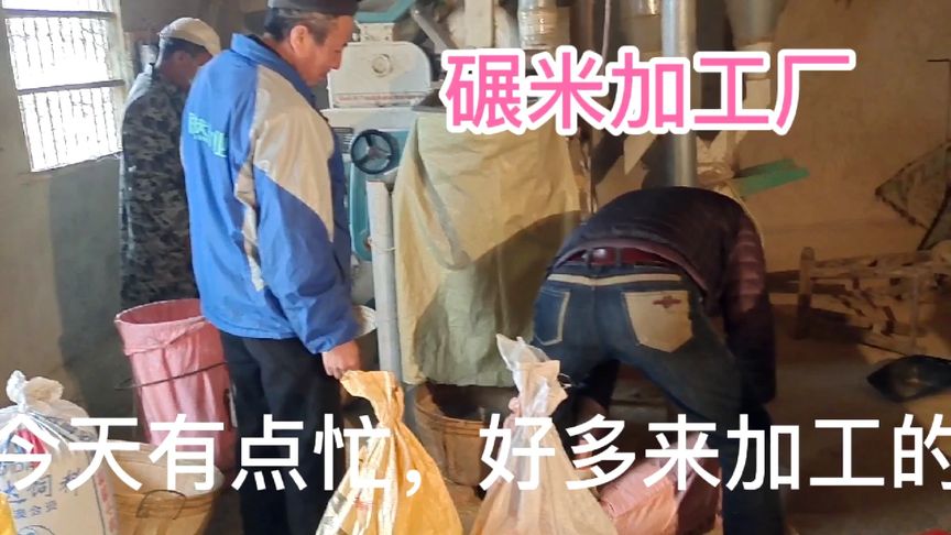 碾米加工作坊,今天也了解一下稻谷如何变成大米的过程,很开心!