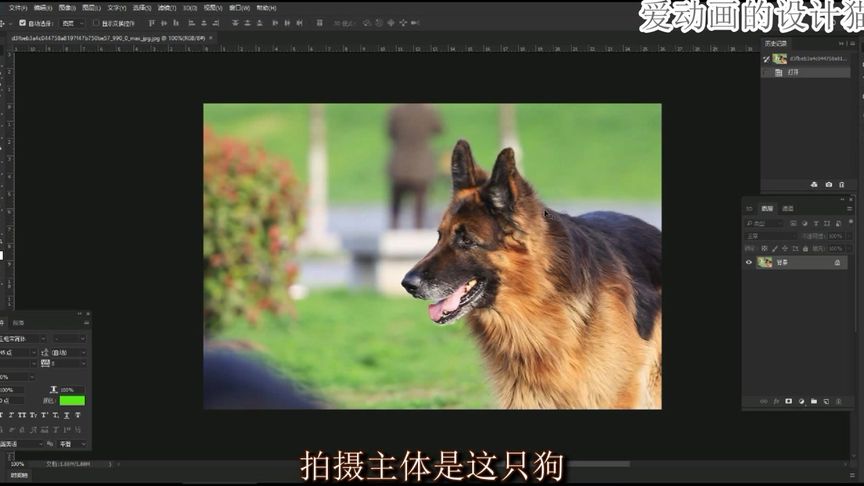 老司机教学，如何在PS中抠毛