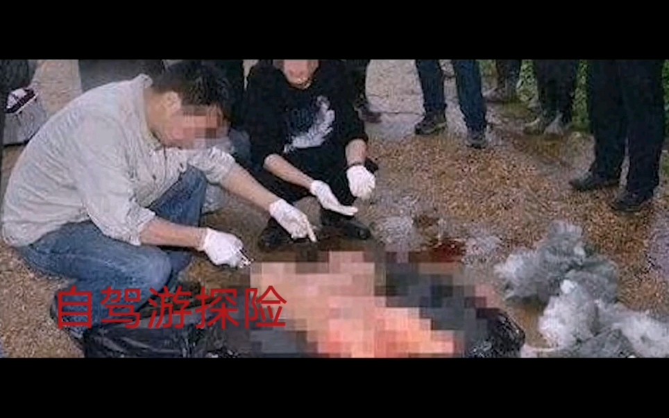 南大碎尸案,中国十大悬案之首