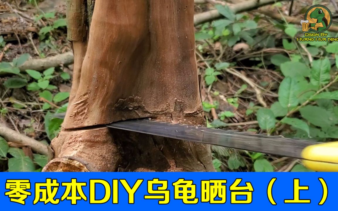 龟友DIY 利用废弃木头制作乌龟晒台!零成本成本天然打造~(上)