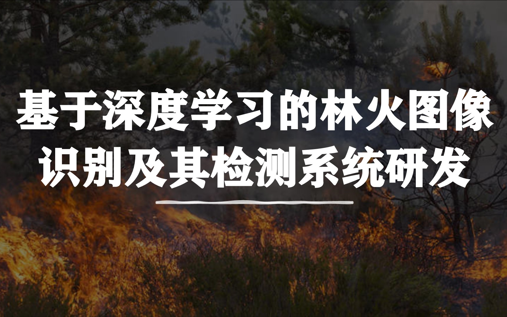 【人工智能技术】基于深度学习的林火图像识别及其检测系统研发