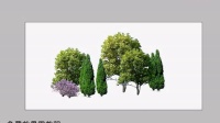 园林景观设计PS效果图后期教程_植物搭配基础练习