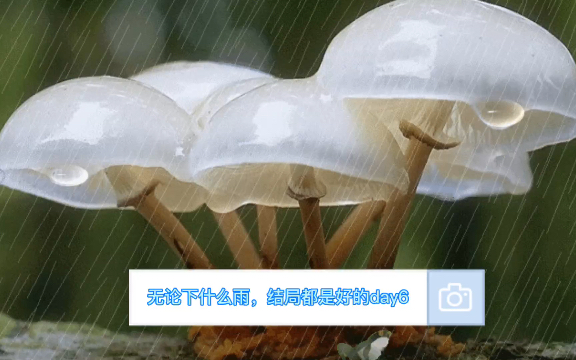无论下什么雨,结局都是好的 非全日制会计专硕MPAcc复试第六天