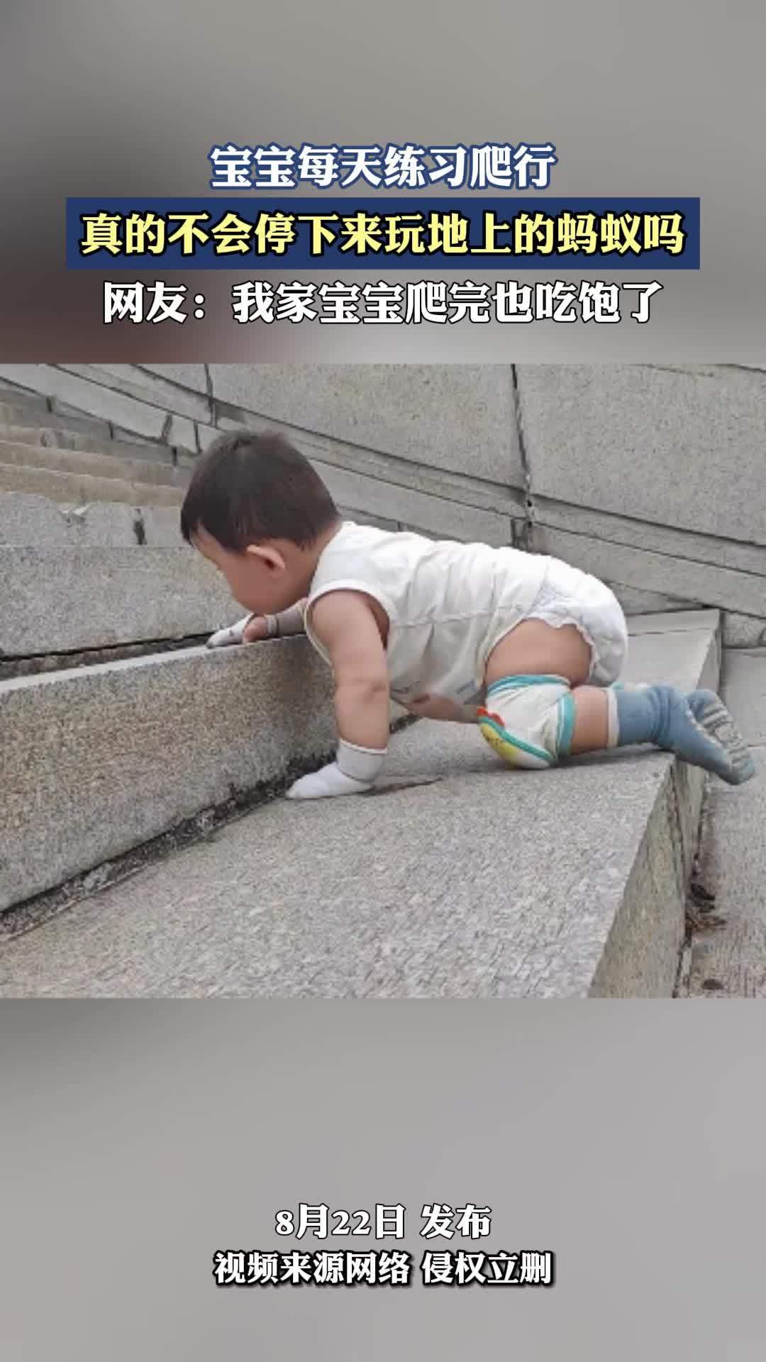 宝宝每天练习爬行,真的不会停下来玩地上的蚂蚁吗?