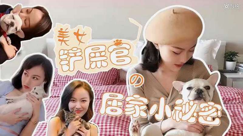 家有宠物装修装饰要注意哪些问题