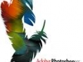 【技术推广用意】Photoshop CS基础及应用视频教程
