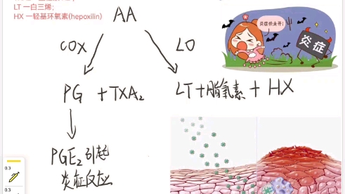炎症知识介绍(炎症产生的病理生理过程,对新冠病毒感染更深刻的理解)