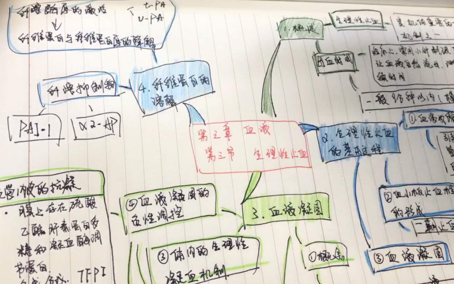 【思维导图】生理学第三章 血液 第三节 生理性止血