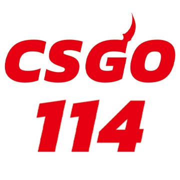 CSGO114 