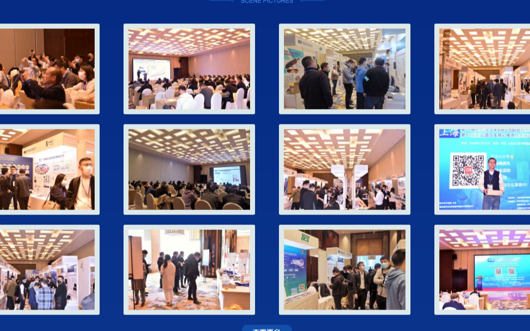 采访上海交通大学 杨林教授-2021上海新能源汽车会议