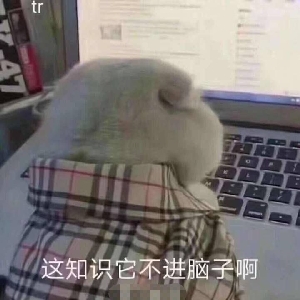 吹风吹的 