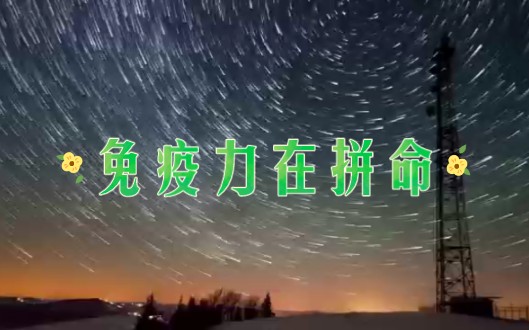 你的免疫力在为你拼命