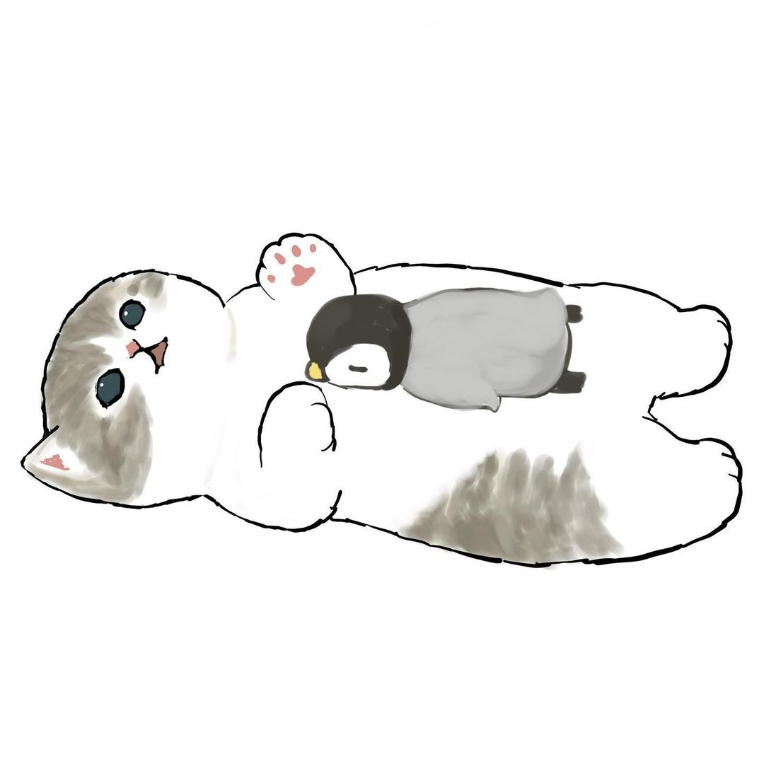 会画鱼的猫咪 