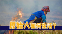 原始时代的人类如何生活?刀耕火种式的农业,孕育了最早期的文明
