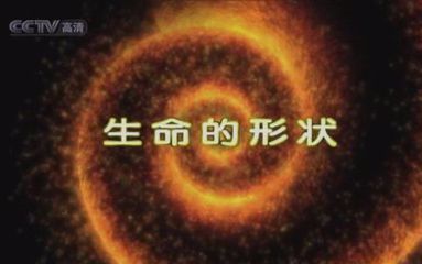 【记录片/CCTV】生命的形状(全8集)