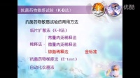 抗菌药物敏感试验教学视频