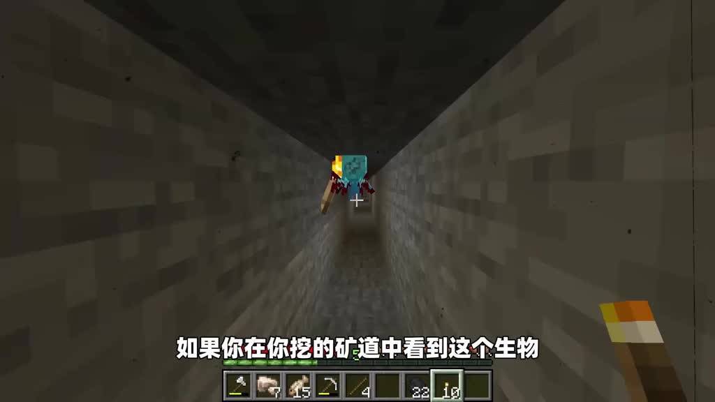 ...它! #我的世界 #我的世界都市传说 #我的世界诡异事件 #mc不灭 #生存