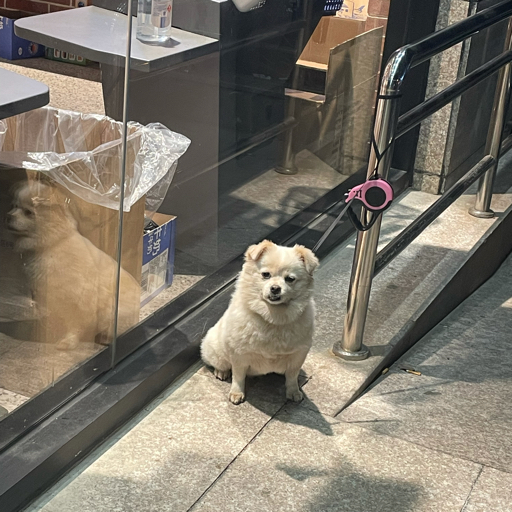 老陈哥在这儿 