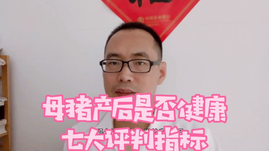 判断母猪产后是否健康的七大指标,做到问题早发现早治疗