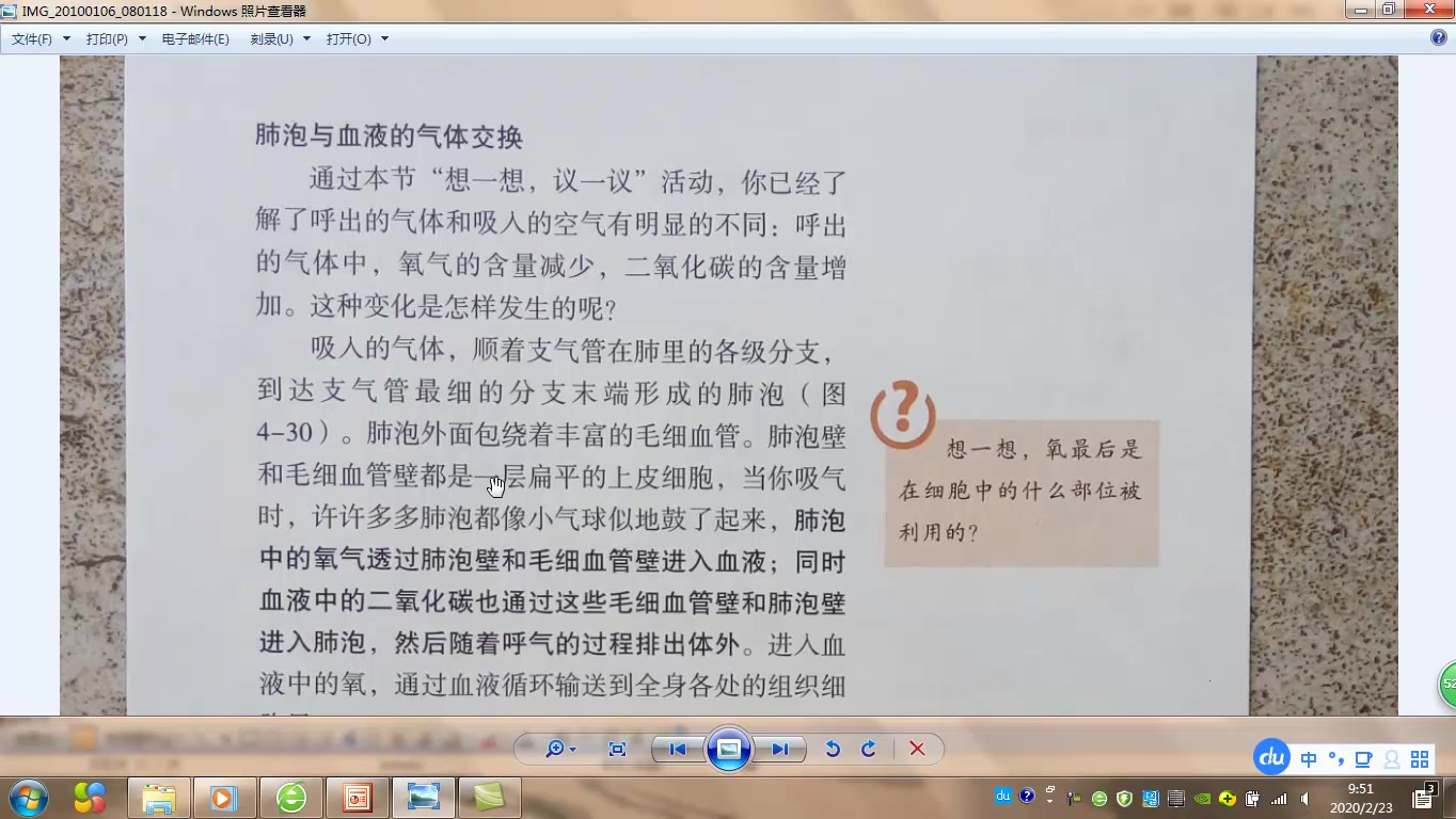 初中生物七年级下 原创微课视频9 肺泡与血液的气体交换2