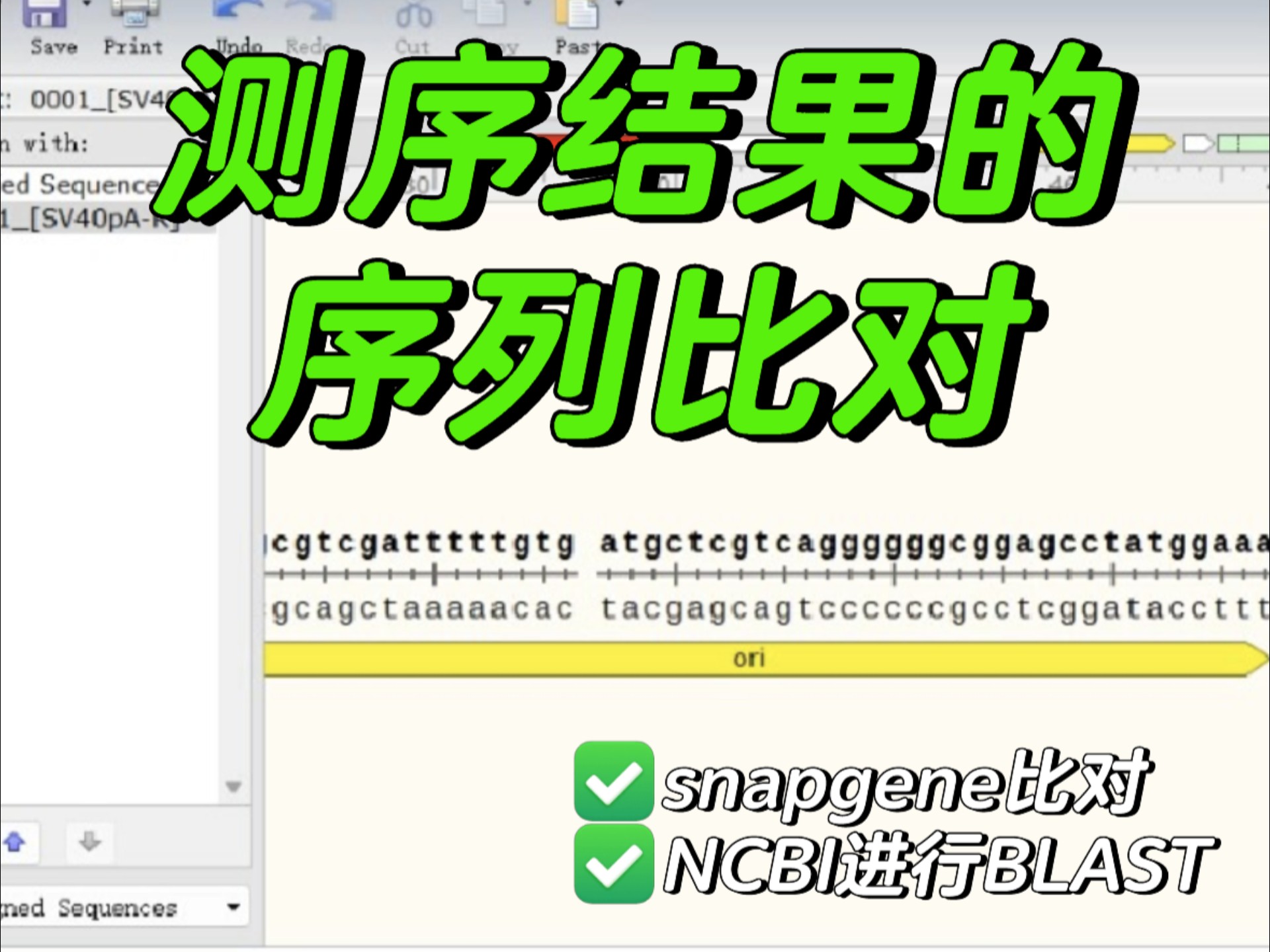 测序结果序列比对❓️两种方法视频版✨