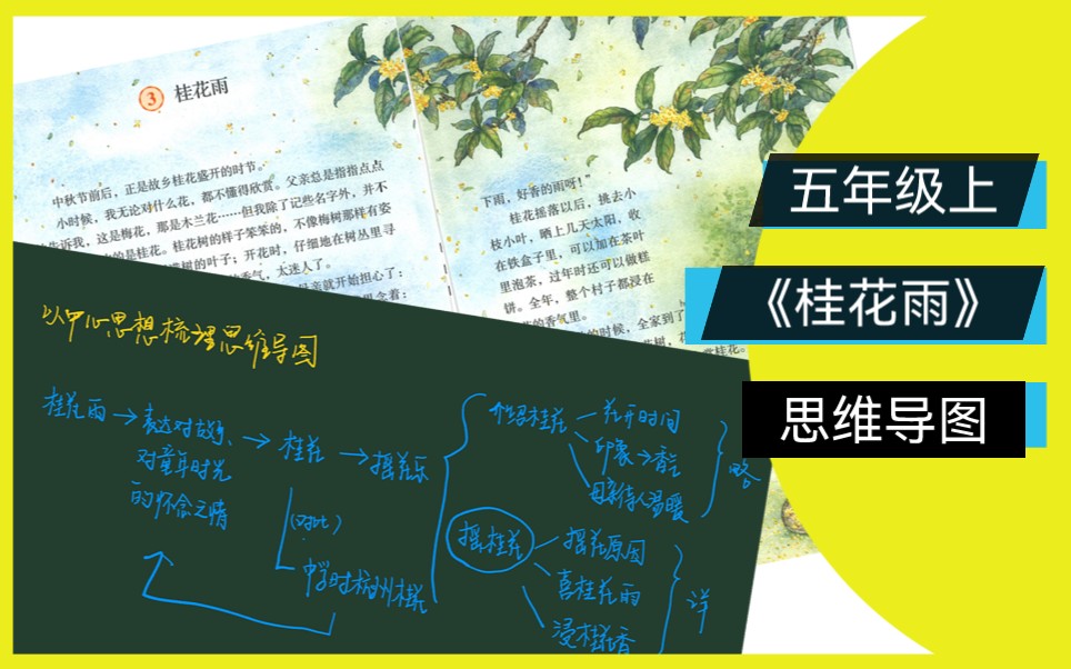 《桂花雨》课文思维导图:总有一个事物承载着回不去的童年,抹不掉的...