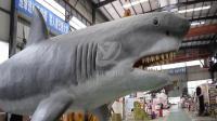 仿真鲨鱼模型制作