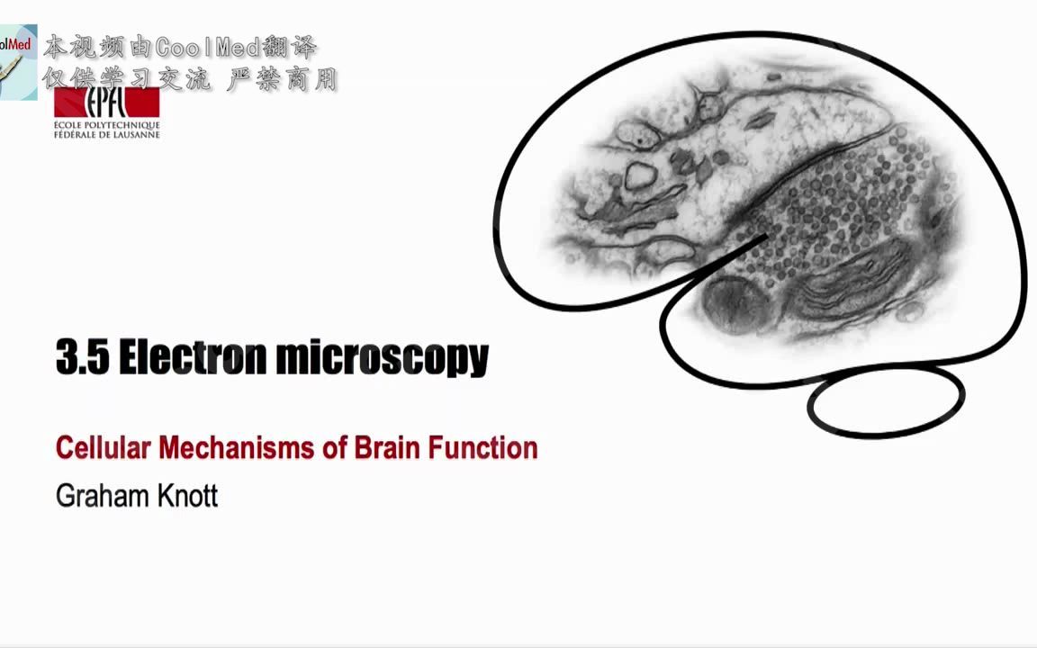 【脑功能的细胞机制】| 3.5 电子显微镜。新课程来啦