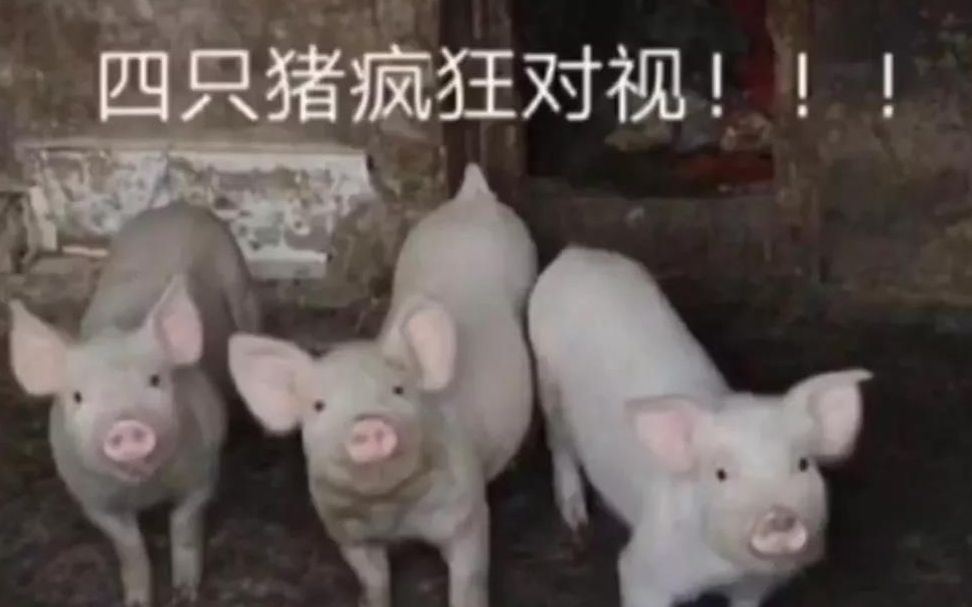 初中物理电学-动态电路(含滑动变阻器)分析