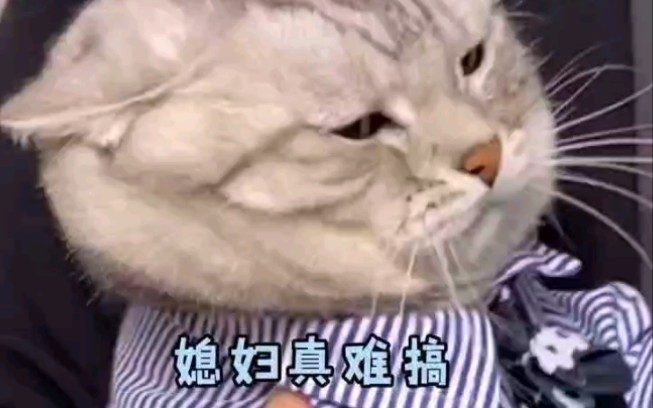 你们要的泡芙和安生求婚后的视频!