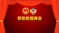 迎接全国两会 | 带您看懂两会②