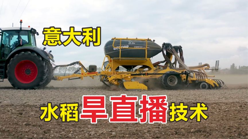 你不知道的水稻旱直播技术,农机精确控制播种,更新你的认知!
