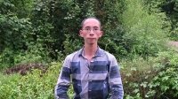 养牲畜把“葎草”变成宝!农民不懂当害草除,大家了解真正价值吗