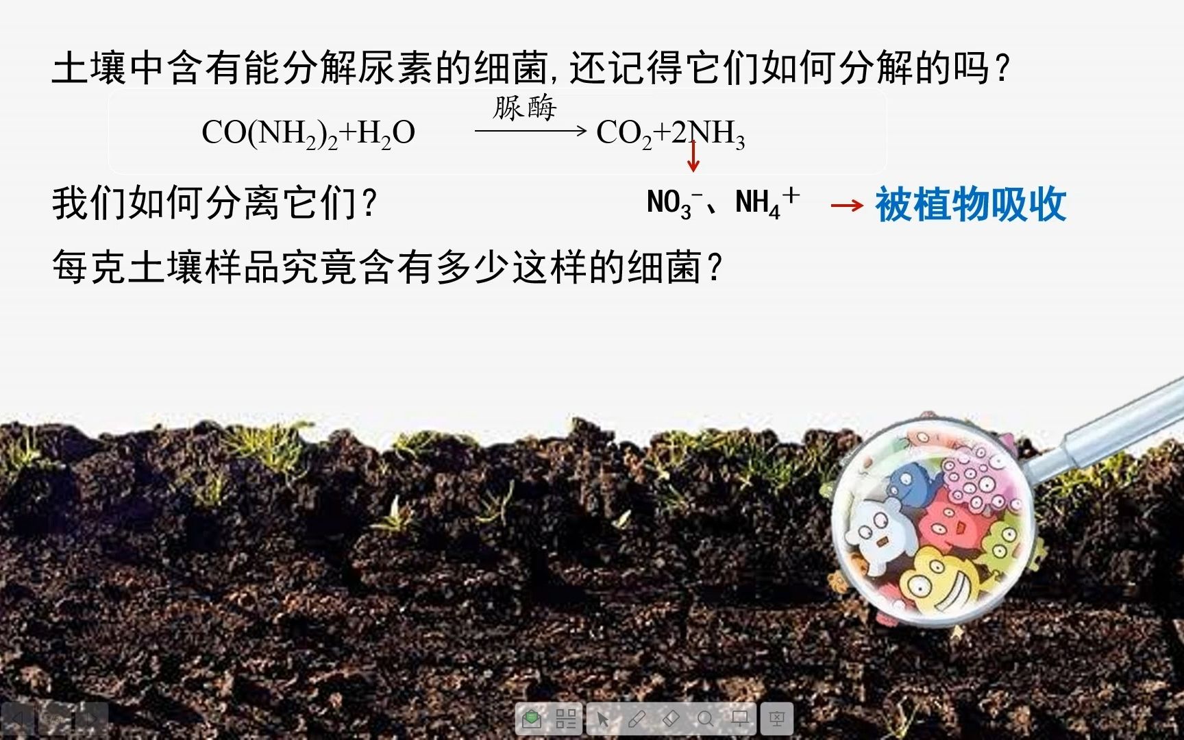 1.2 微生物的选择培养和计数 录音出现问题 无声