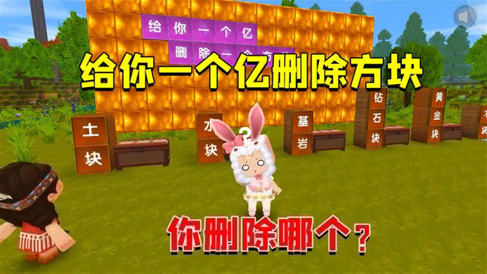 迷你世界:假如给你一个亿,让你删除一个方块