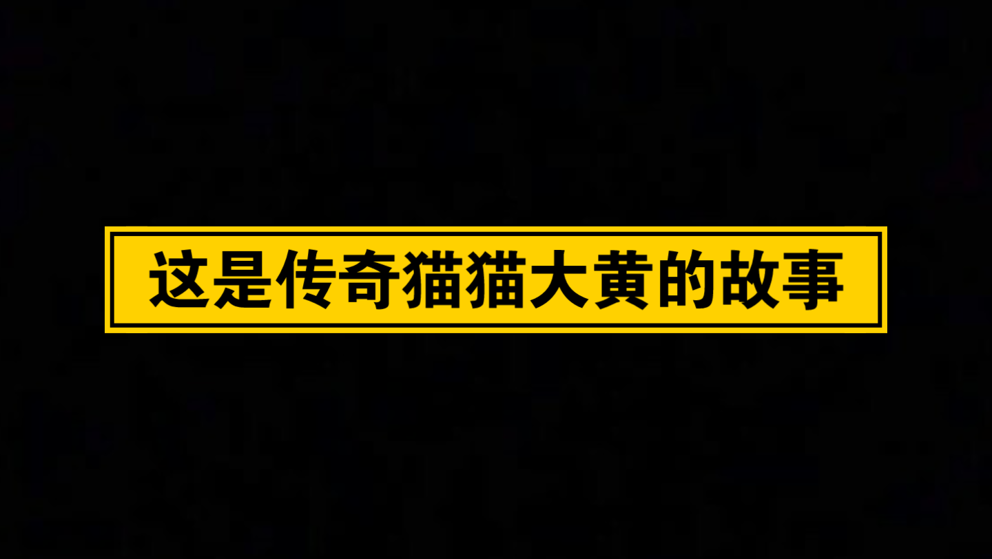 致东北财经大学之远楼的守护者大黄