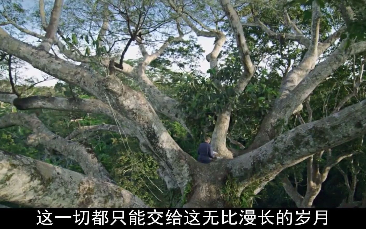 第三期《从前有座森林》