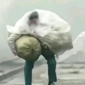 明月澹微云 