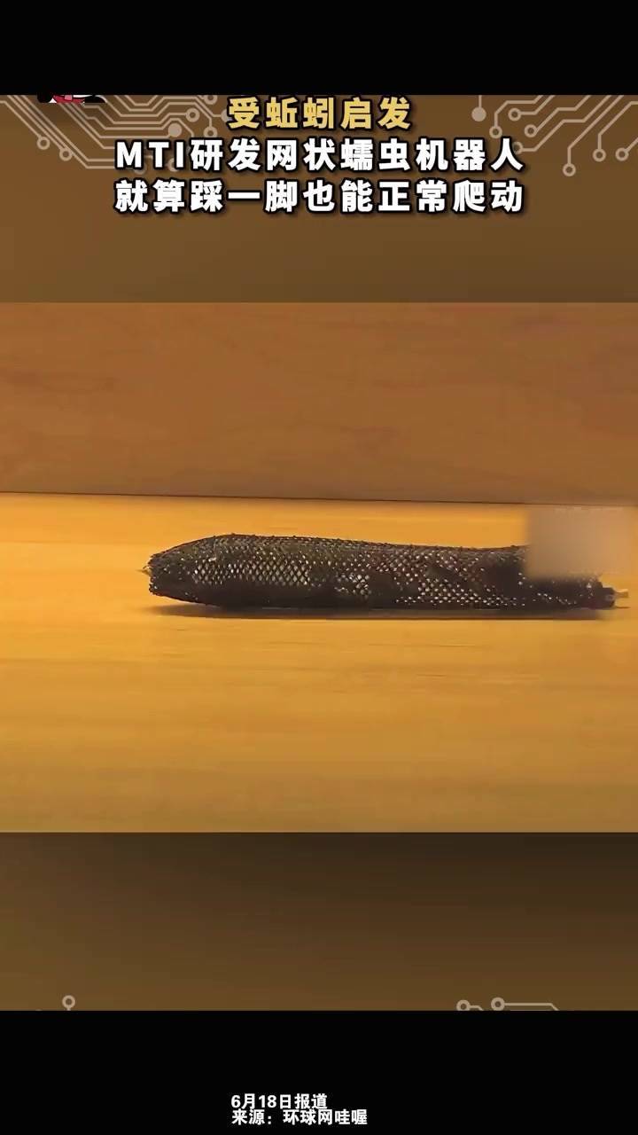 受蚯蚓启发,MTI研发网状蠕虫机器人,就算踩一脚也能正常爬动