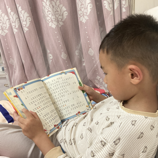 皮皮妈妈是会计老王 